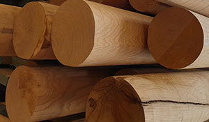 Dekorativne zidne obloge | MDF | Niska cijena | Drvo trgovina - Drvona ...